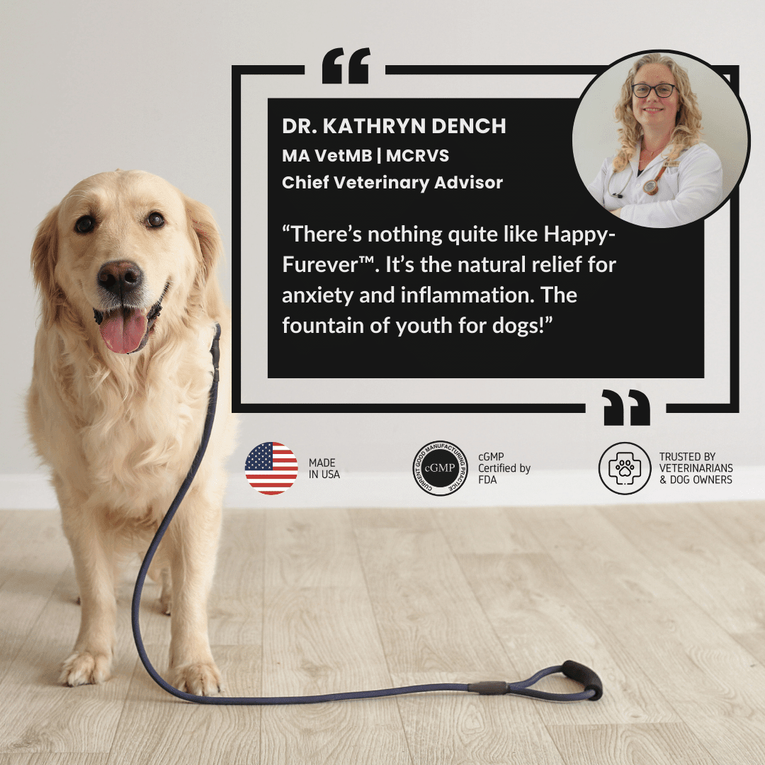 Happy-Furever | Paw Origins – PawOrigins® Naturals
